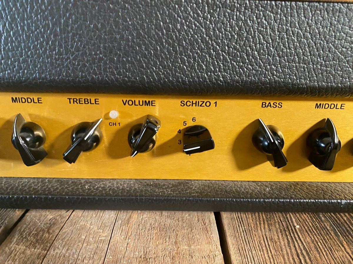 SOLD - Bogner Caveman "Mojo" Amp Head Artist Prototype – Mahar's ...